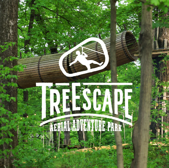 The Social Benefits of Bonding with Nature through TreEscape